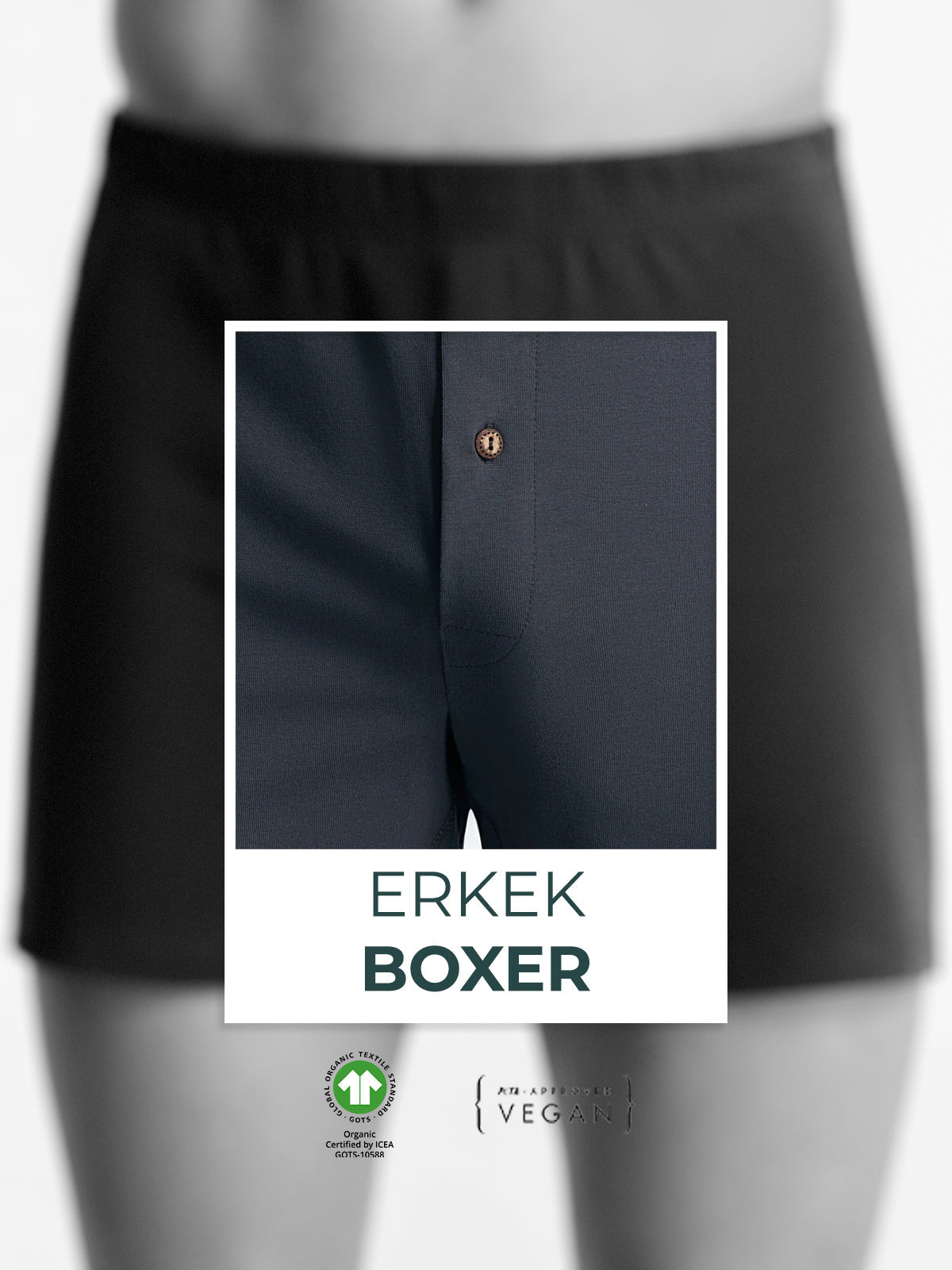Boxer – Albero Natur Turkey